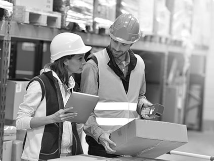 Subject title highlighted (eg Service, department) - Lapidot Group